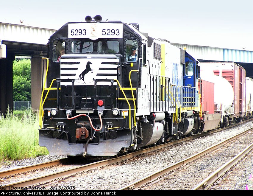 NS 5293